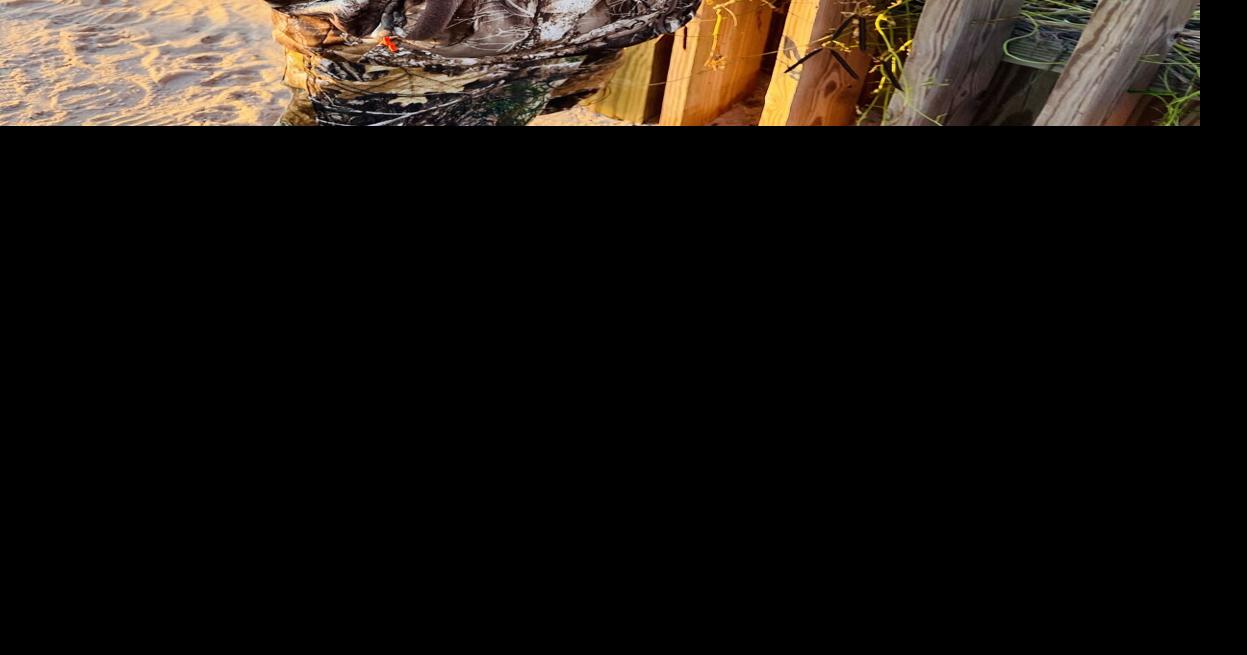 Matthew Israel Barton | | transylvaniatimes.com