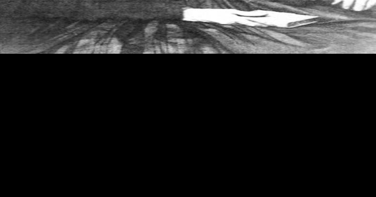 Our People, Our Past: The Gash Family | Features | transylvaniatimes.com