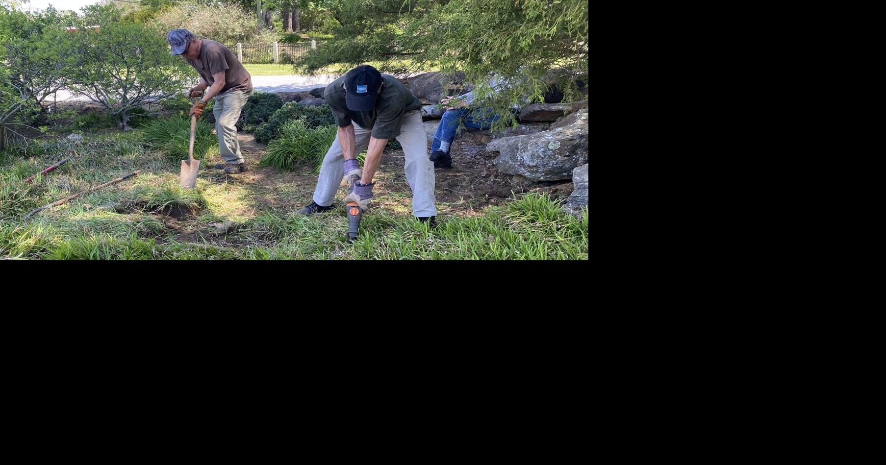 Native plant sale May 21 at UUTC to tackle Broad Street 'Hellstrip ...