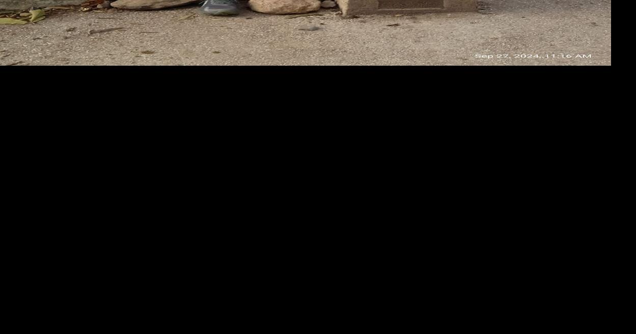 Transylvanian of the Week: Steve S. Pagano III | News ...