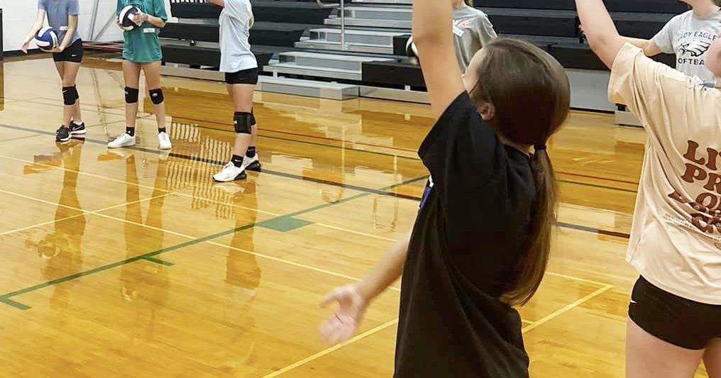 Volleyball skills refresher clinic coming July | Brevard ...