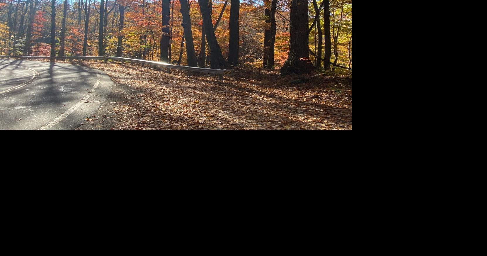 Catch the last colors of fall | Outdoors | transylvaniatimes.com