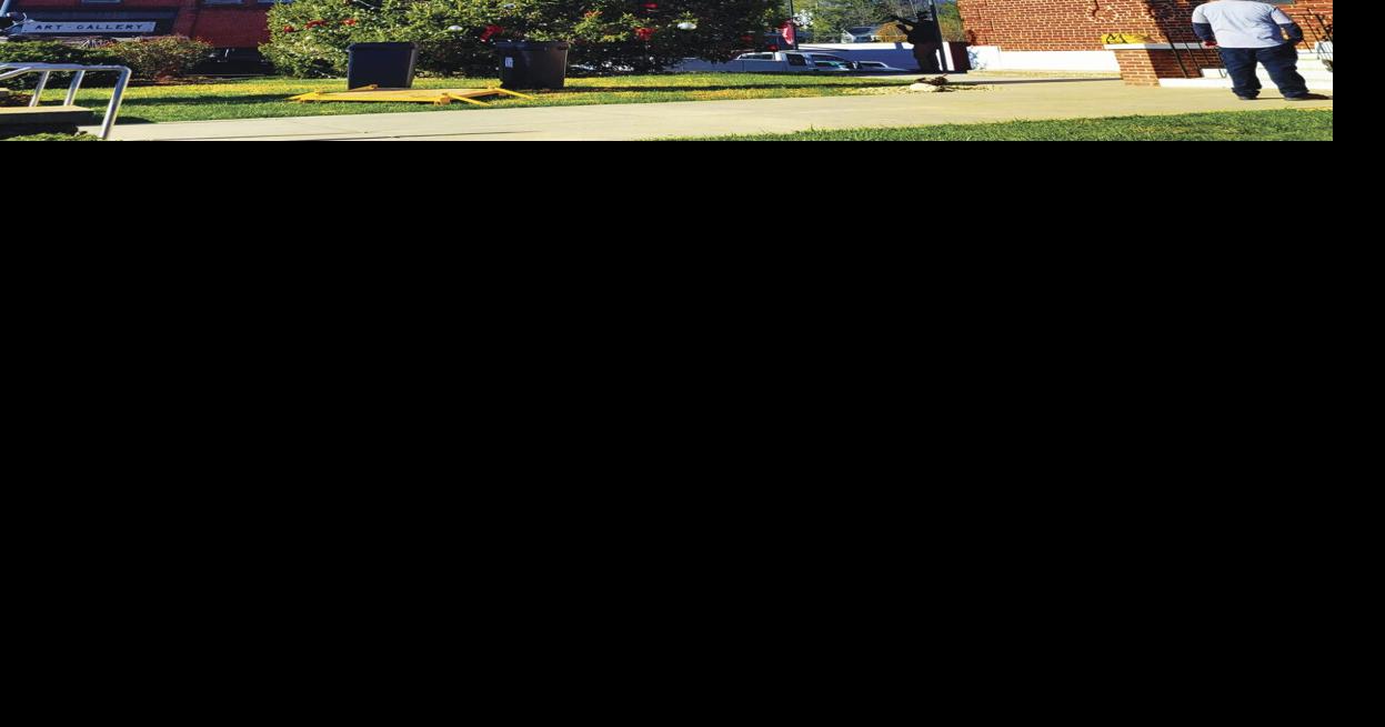 Courthouse tree dressed for Christmas | Lifestyles | transylvaniatimes.com