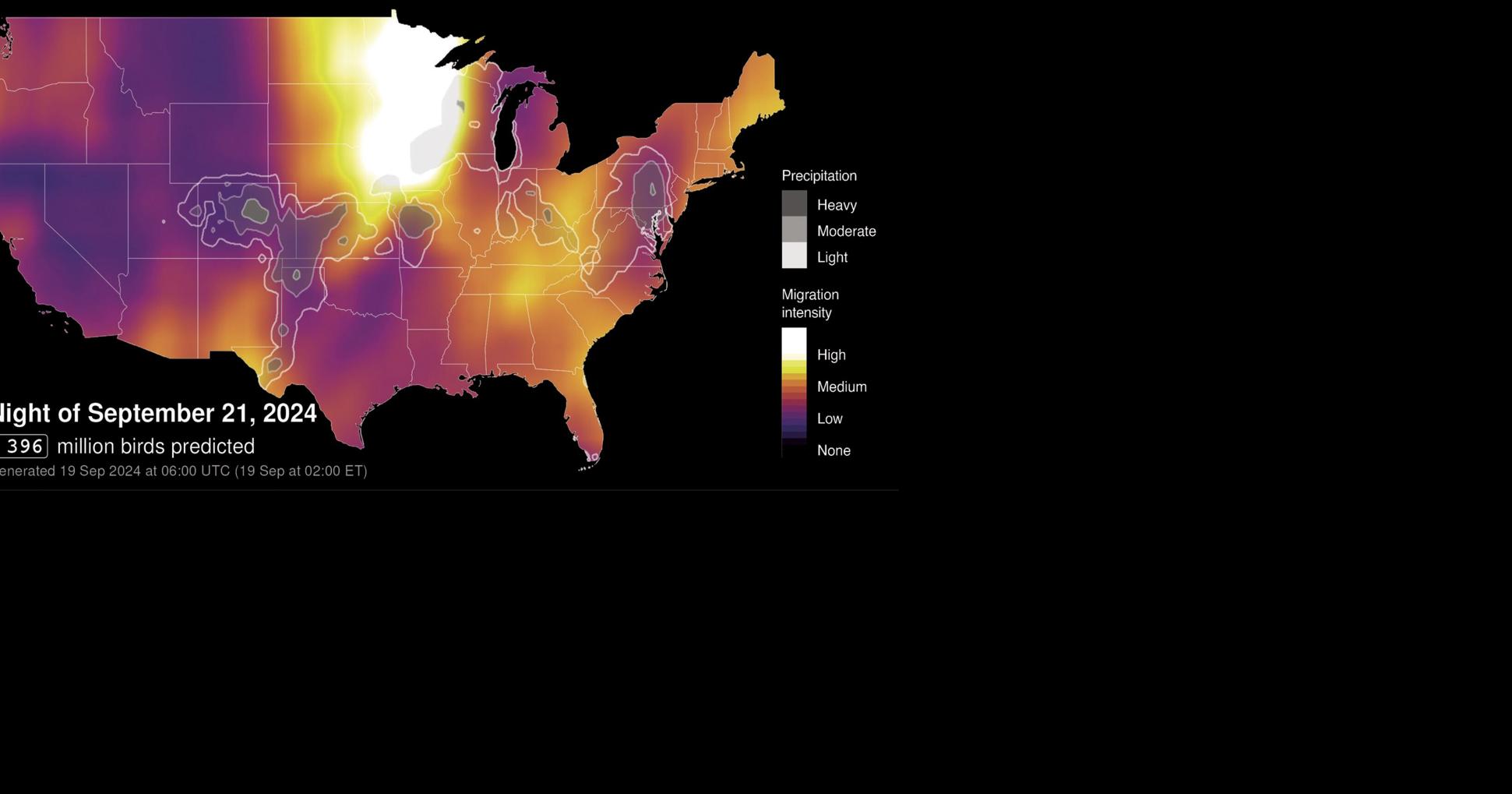 What you can do to assist bird migration at night | Outdoors ...