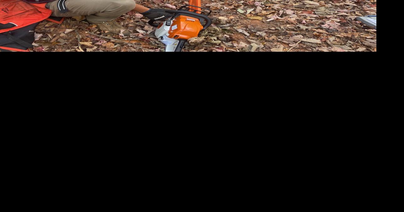 From classroom to forest: Expanding trail care education | Outdoors ...