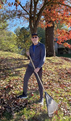 Agnew: Better to leave the leaves on the ground | Lifestyles | transylvaniatimes.com