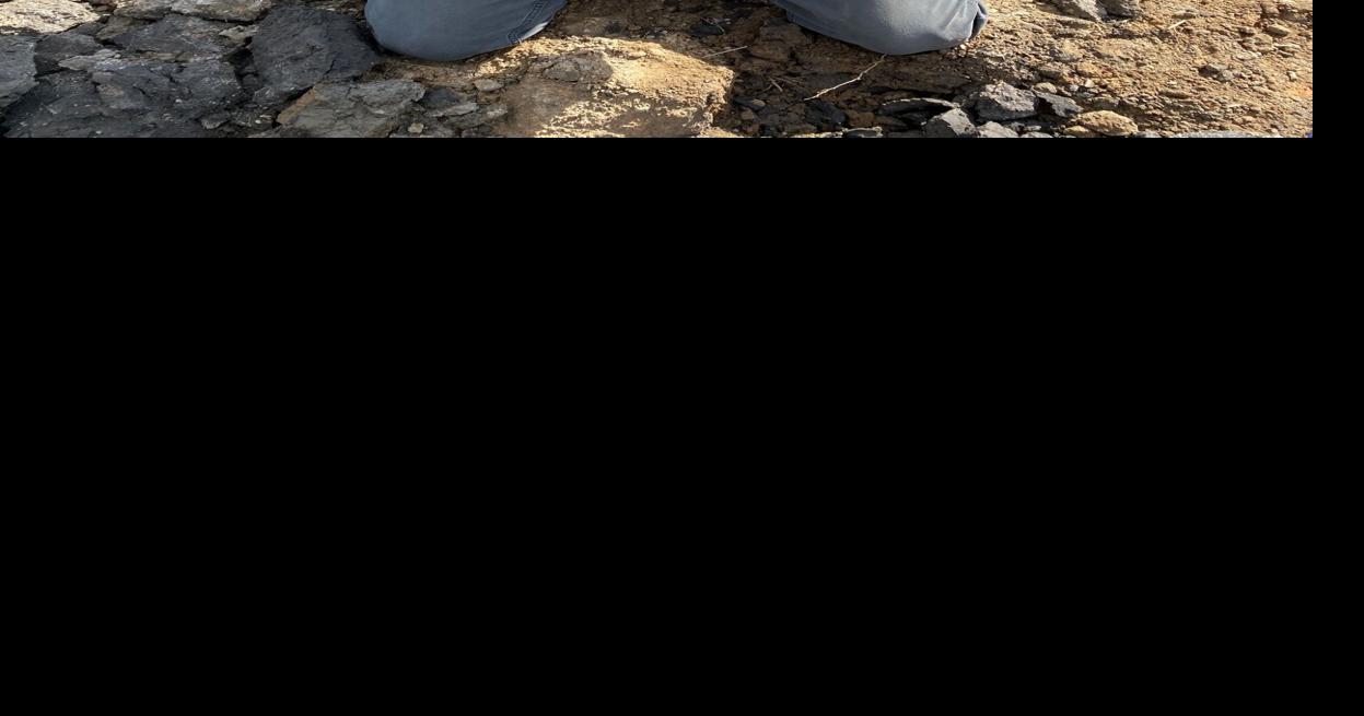 Nature preserves provide traditional materials for Cherokee artists ...