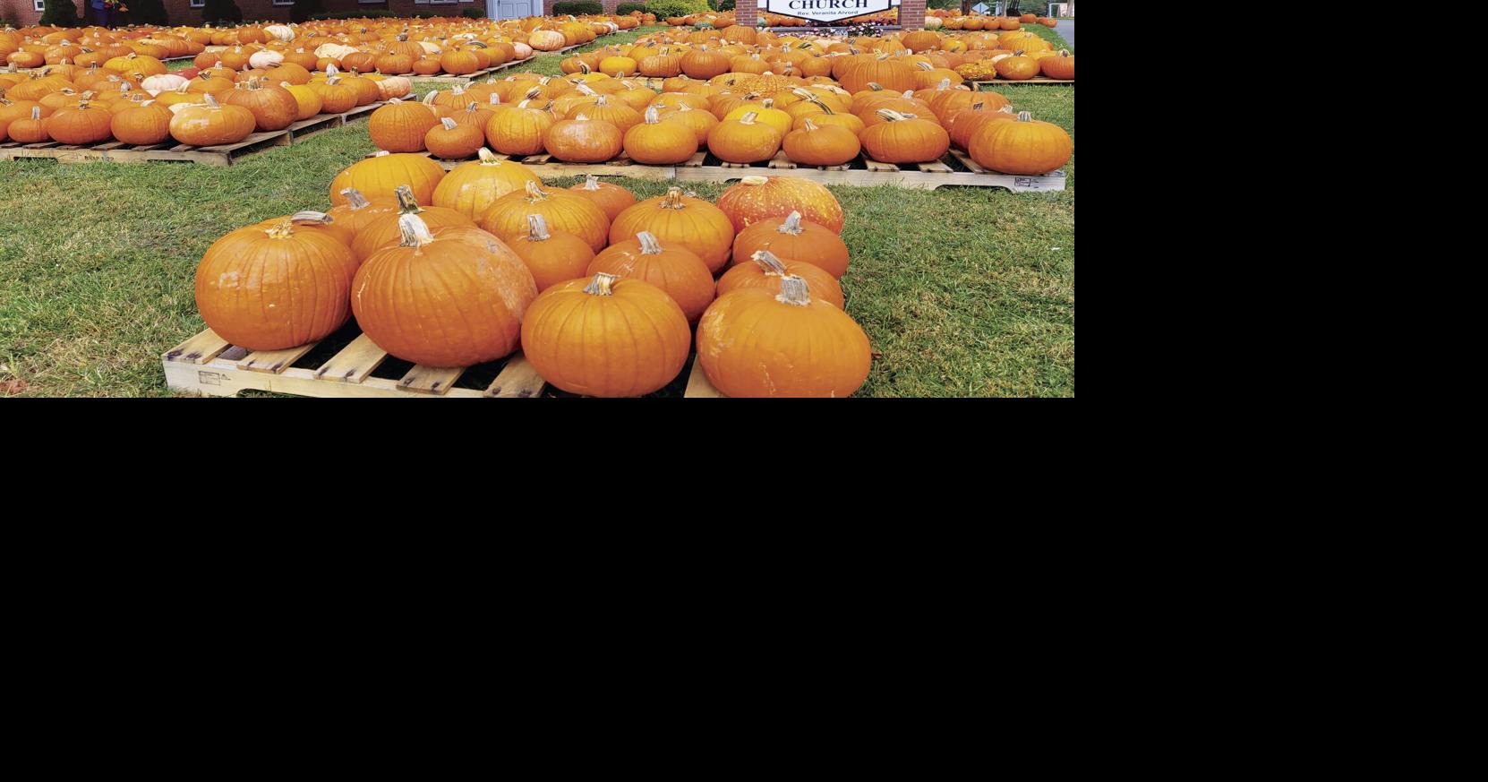 First United Methodist Church pumpkin patch open for busines | Calendar ...