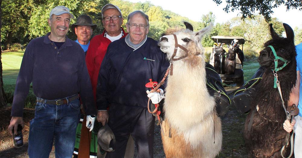 Llama Rama Golf Tournament Best Ever | Lifestyles | transylvaniatimes.com