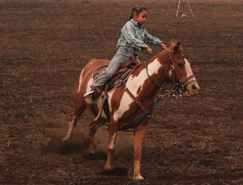 First Annual Sugar Bowl Jr. Rodeo | Sports | tribaltribune.com