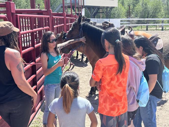 Aboriginal Outfitters Host xmink‿I‿kwap-Love for Horses | News ...