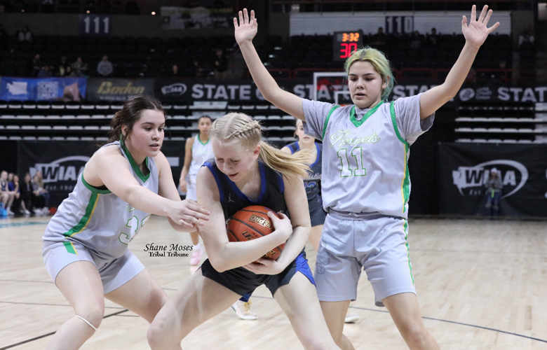 Inchelium girls bring home 5th place | Sports | tribaltribune.com