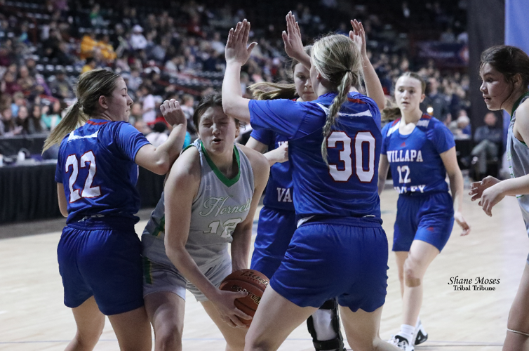 Inchelium girls bring home 5th place | Sports | tribaltribune.com