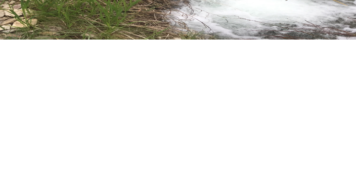 Fish passage barriers will be improved for rainbow trout | News ...