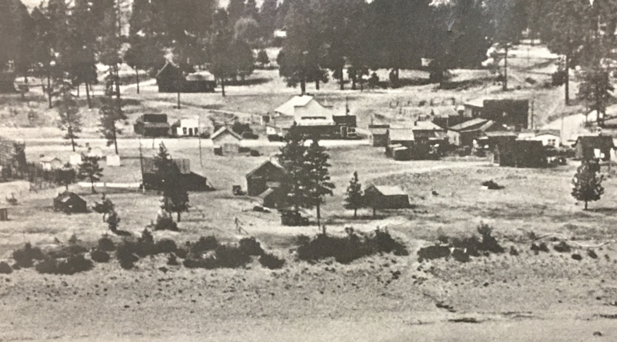 The Word Carver: Tribal elder became well-known artist and author after ...