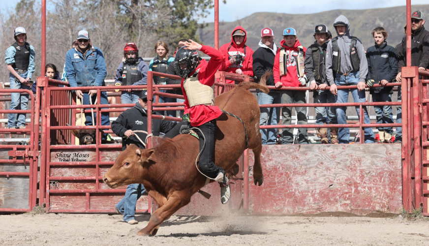 “Riding Rank on The Rez” Shane Proctor Bullriding school draws large ...
