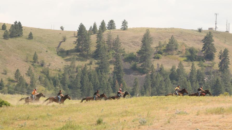 Photo Gallery: Pakootas Dam Horse Races | Photography | tribaltribune.com