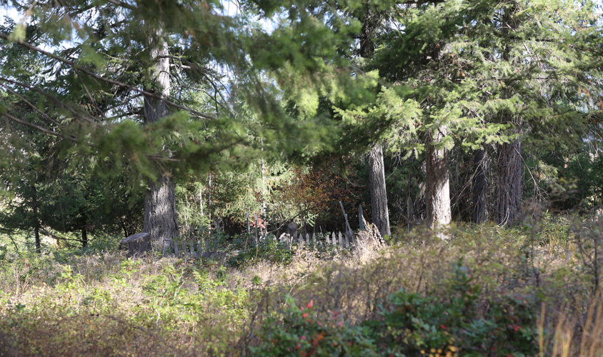 ‘Stranger’ than Fiction: The Traveling NDN explores Stensgar roots ...