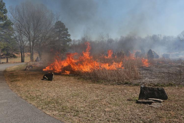 Land Between the Lakes prescribed burns benefit environment and region ...