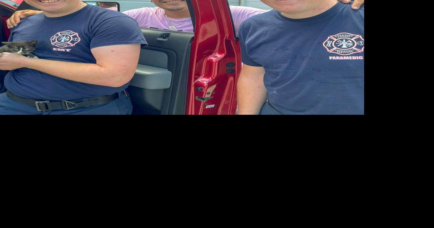 Cherokee County fire department workers rescue kitten | Local News ...