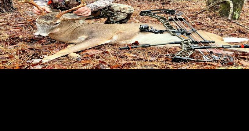 Are you bow-ready? Georgia archery deer hunting season opens Sept. 9 | Lifestyle ...