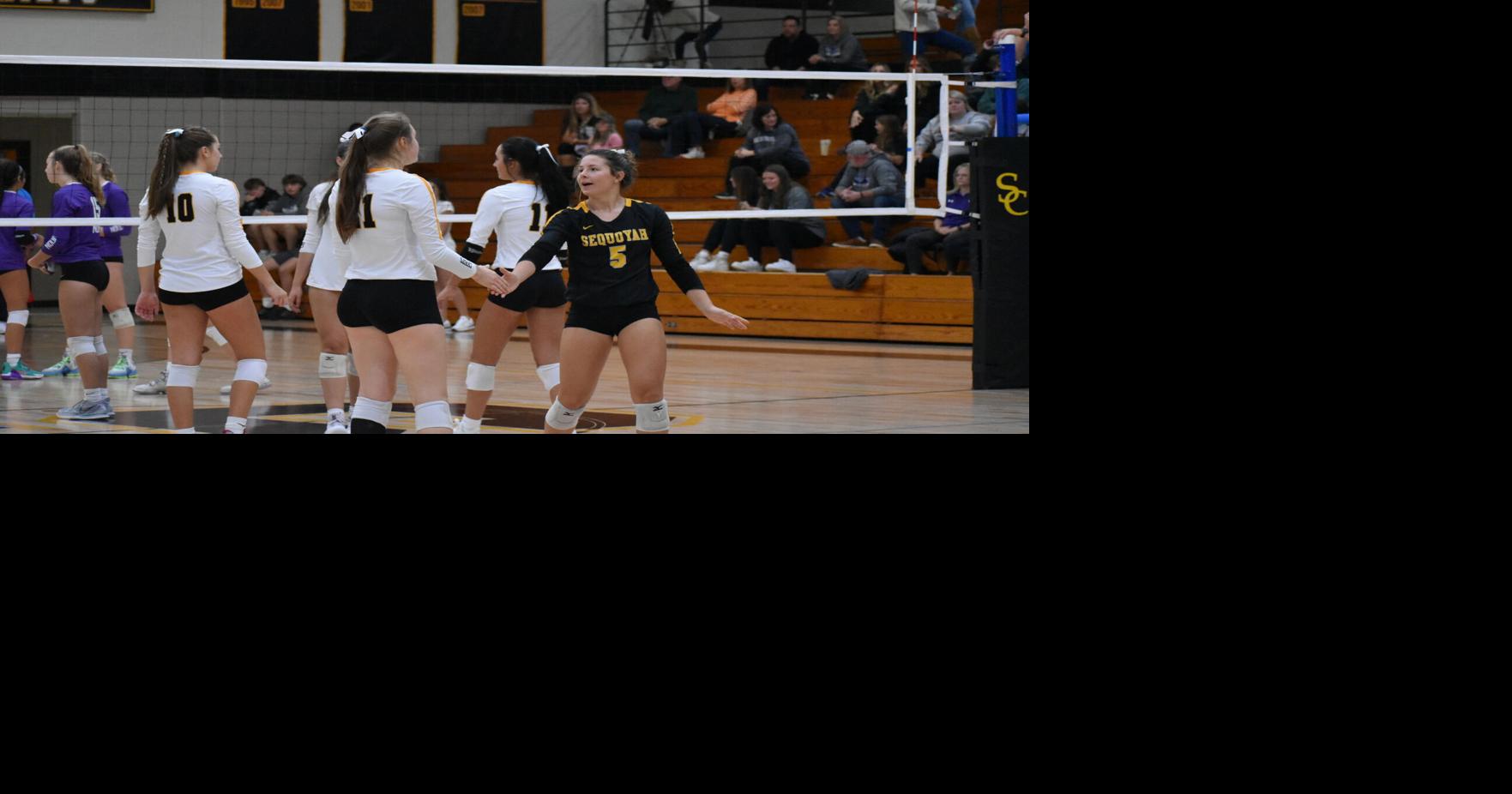 2022 All-Cherokee County Volleyball Team | Sports | tribuneledgernews.com