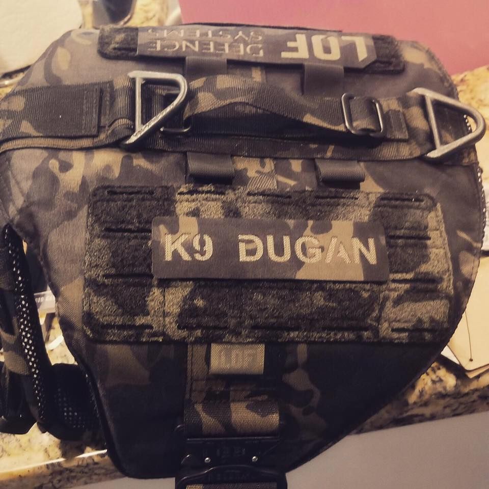 Law enforcement agencies receive vests for dogs | Local News ...