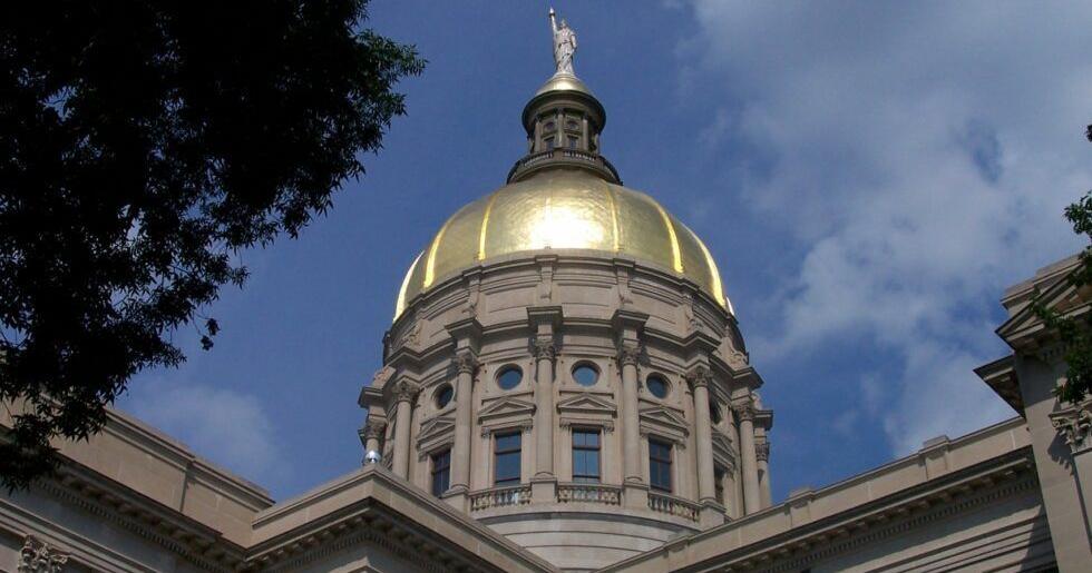 Georgia Senate votes to ban local gun storage laws | State & National ...