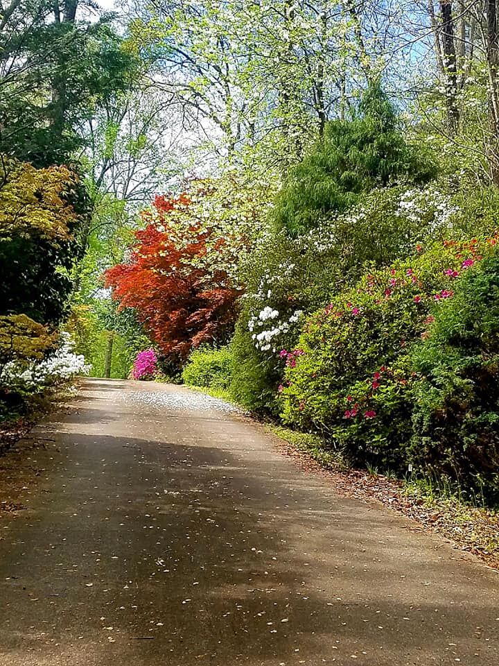 The widely regarded Cox Arboretum calls Canton home | Lifestyle ...