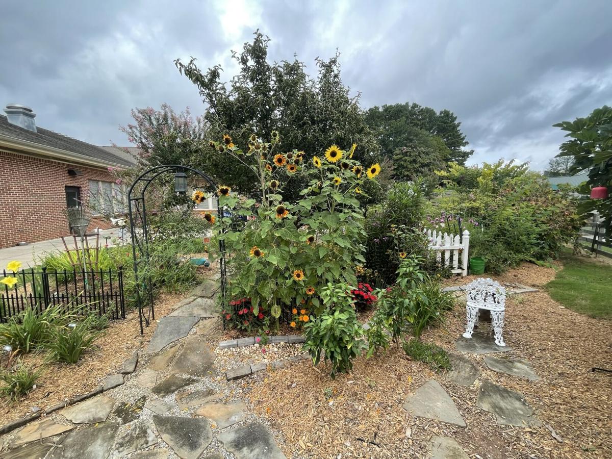 GARDENING WITH THE MASTERS: 2025 Pollinator Plants of the Year for ...