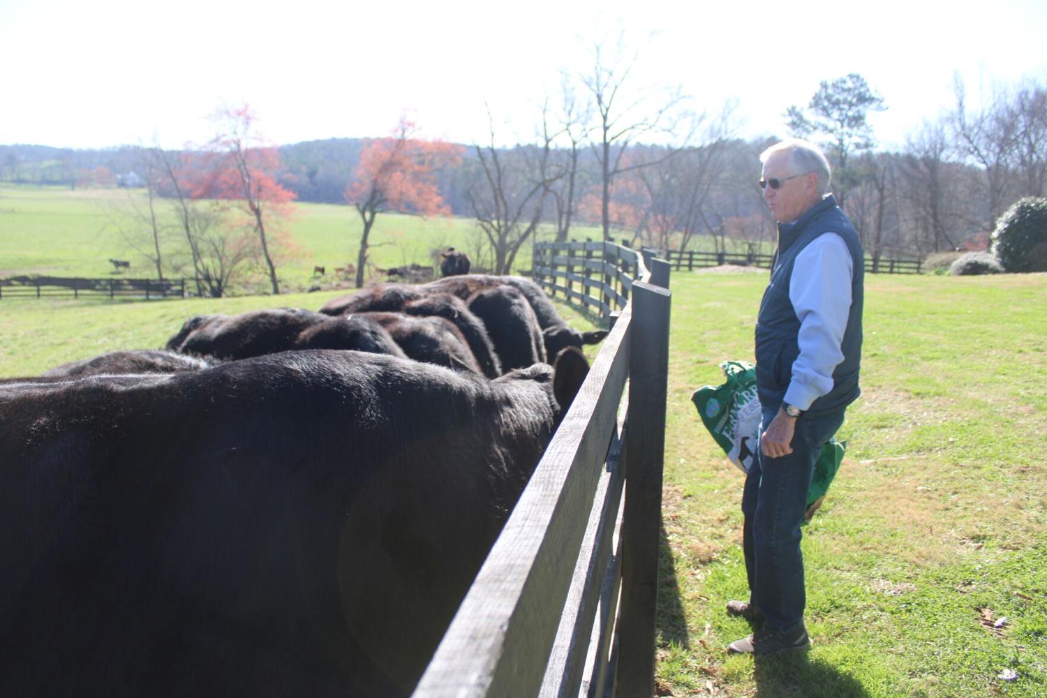 A Farming Family's Legacy in Cherokee's Salacoa Community | Local News ...