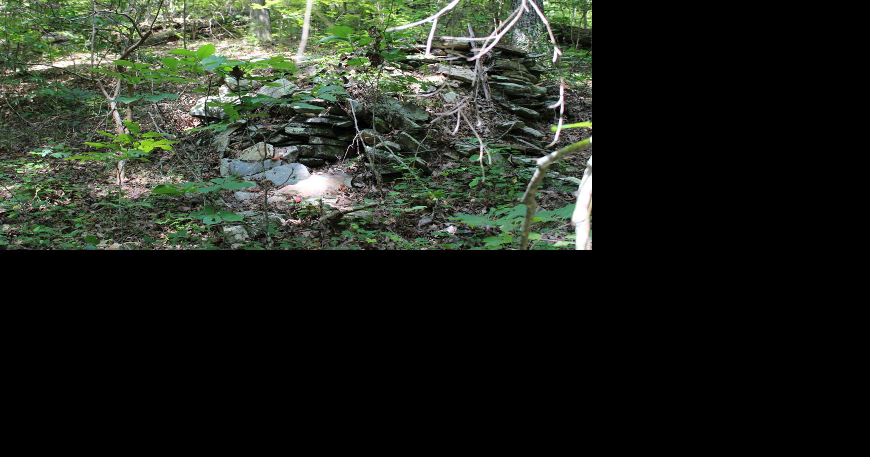 Pine Log Mountain on Georgia Trust's '10 Places in Peril' List | Local ...