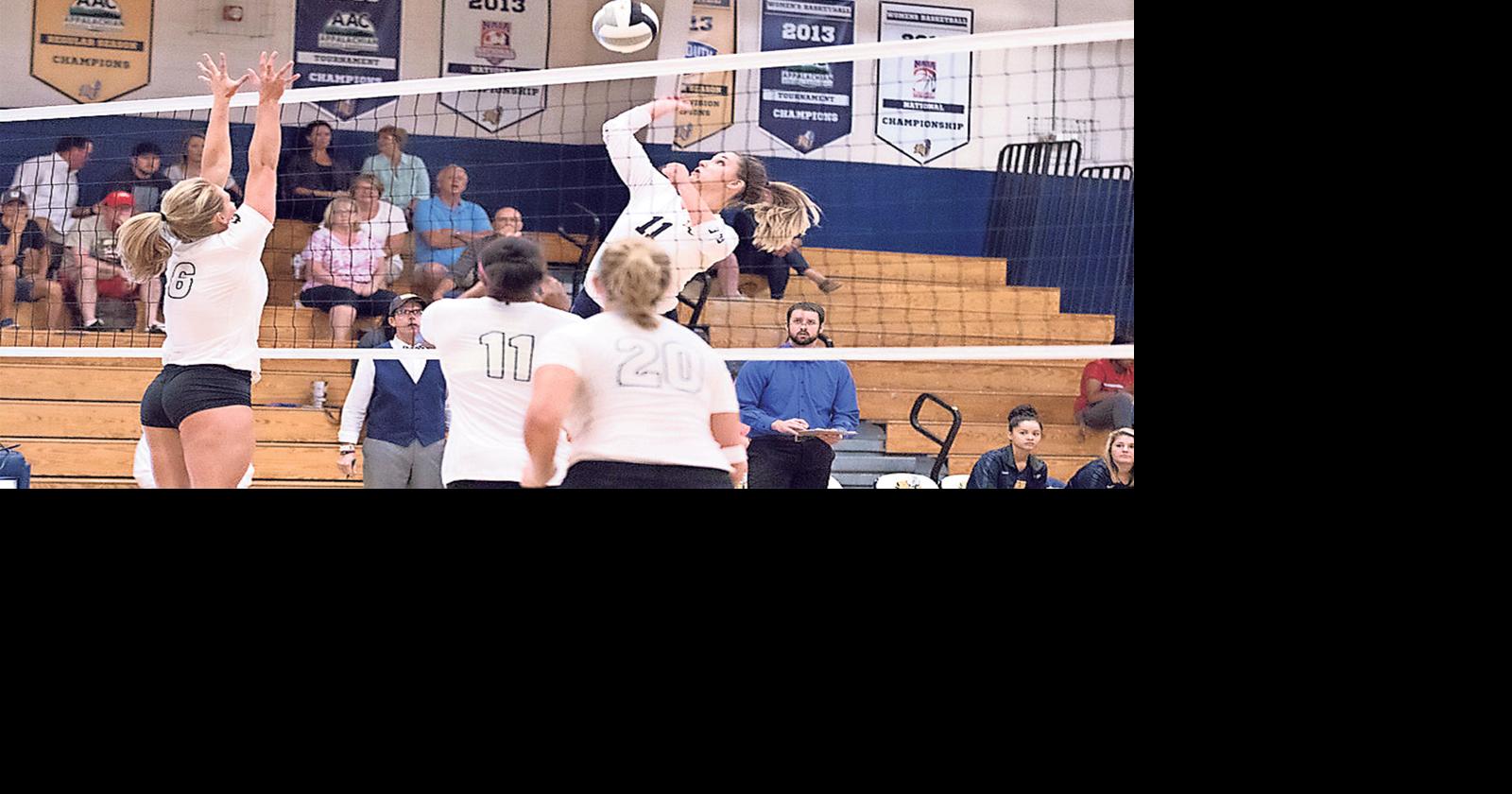 Reinhardt volleyball team triples its win total of 2016 | Sports ...