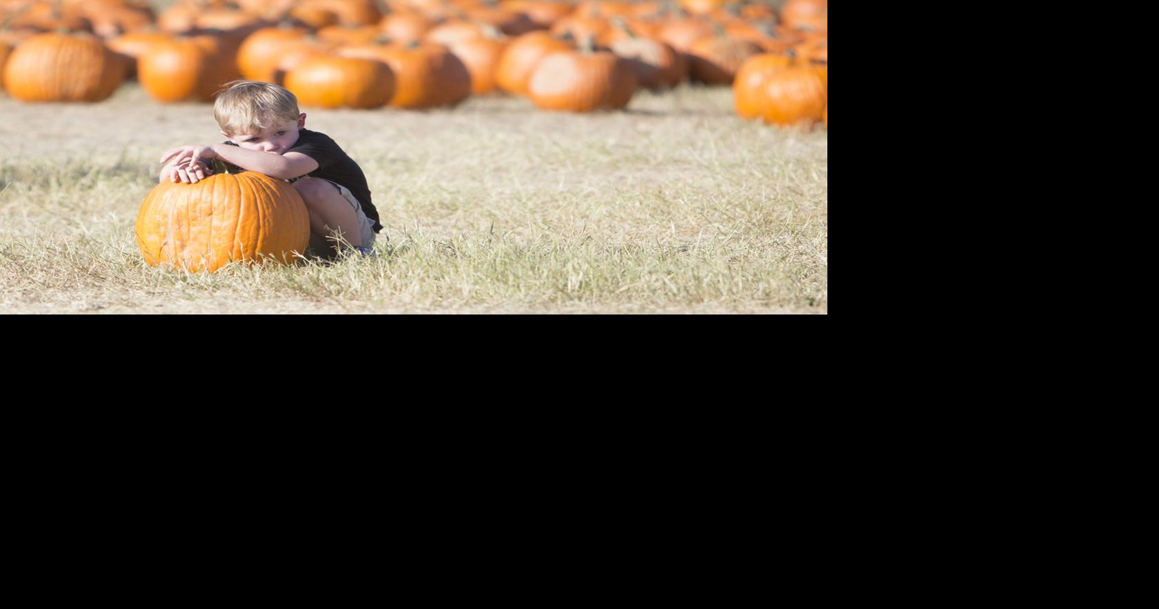 4 places in Cherokee County to have fun this fall | Cherokee Life ...