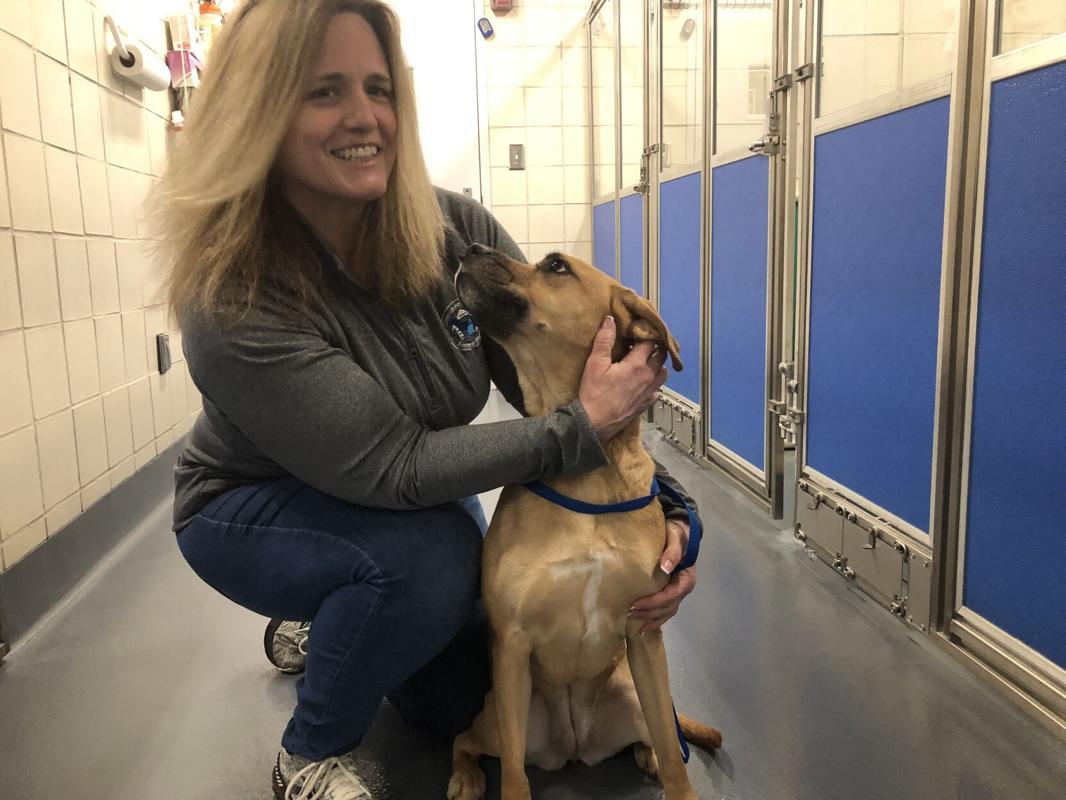 Georgia SPOT Society report: Cherokee Animal Shelter has 3rd-highest ...