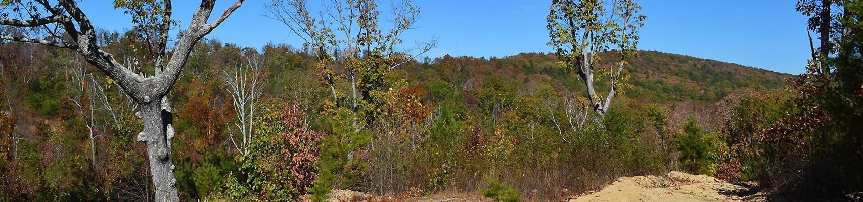 Cherokee County Commits $2M to Help Preserve Pine Log WMA | Local News ...