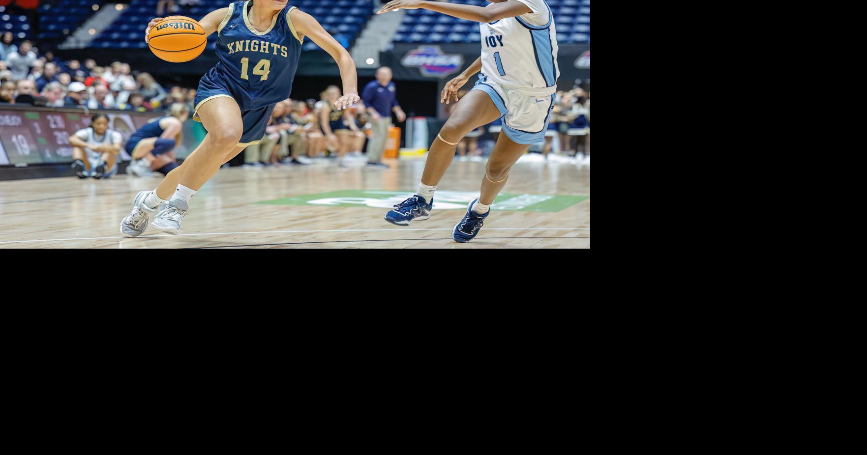 Girls Basketball Preview: New Season, Same Expectations for River Ridge ...