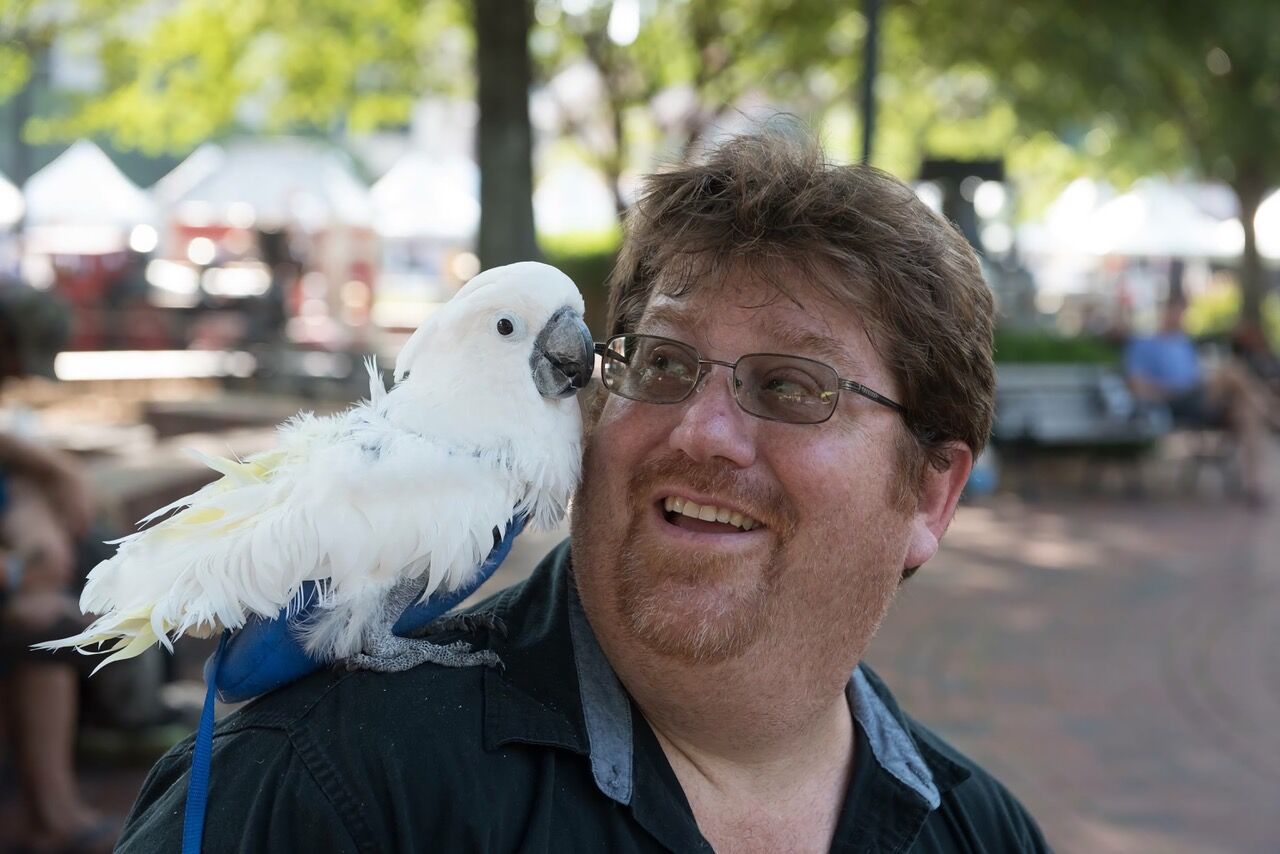 Georgia Aviary eyes Cherokee County for parrot sanctuary | Local News ...