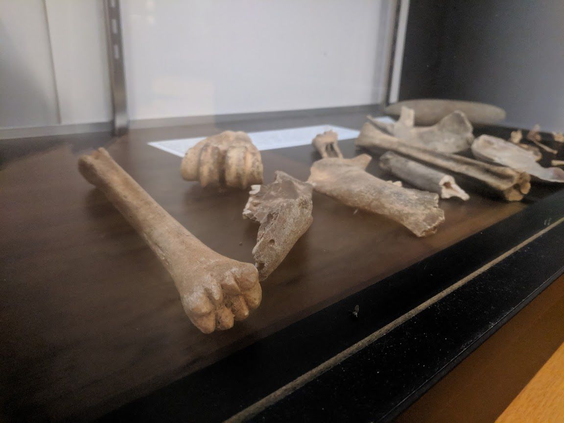 Historic exhibit explores Trail of Tears in Cherokee | Lifestyle ...