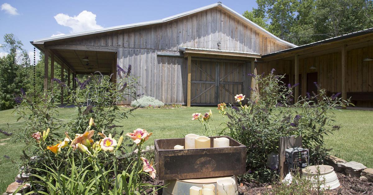 Pleasant Union Farm in Canton hosts home-grown dinners, berry picking ...