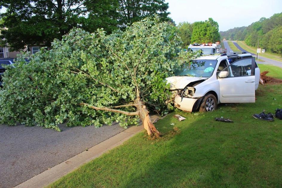 Woman injured after hitting tree | Local News | tribuneledgernews.com