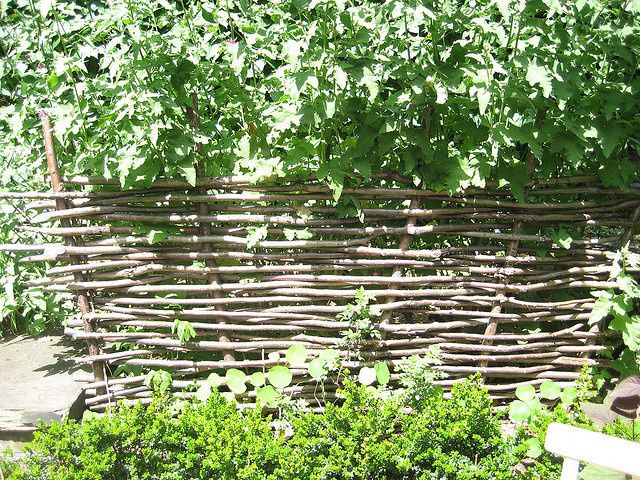GARDENING WITH THE MASTERS: What’s up with a wattle fence? | Cherokee ...
