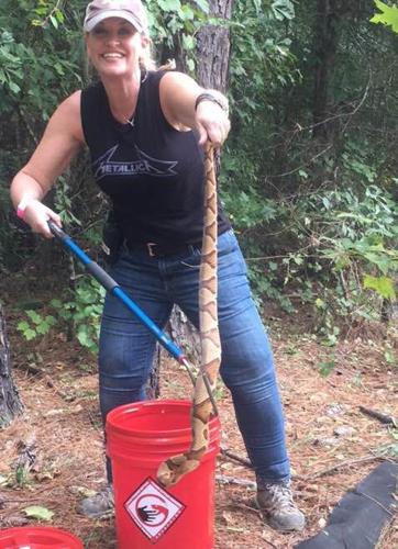 Local snake wrangler, Kim Bell Mross: ‘I’m not afraid of anything ...