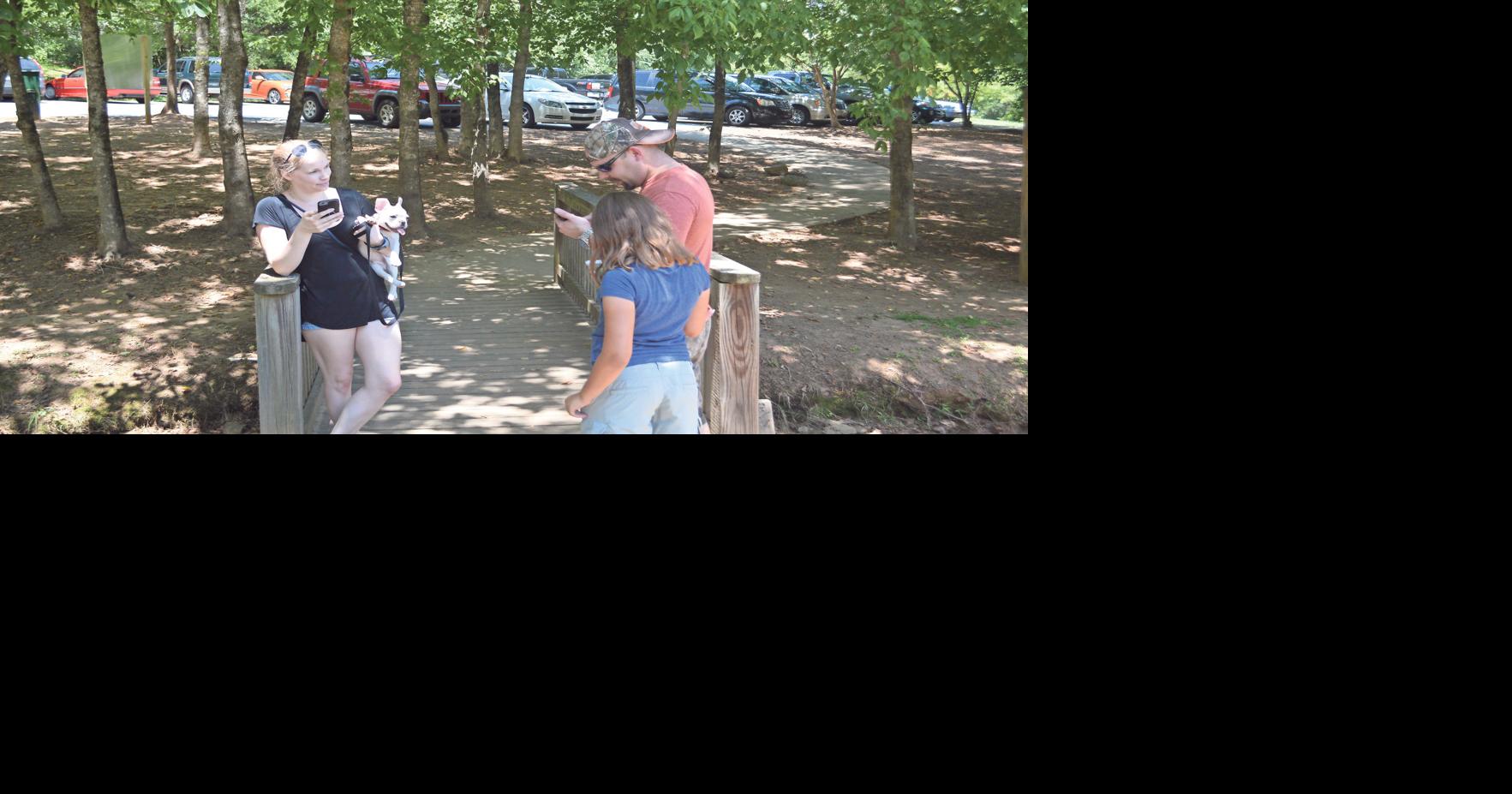 Pokemon 2.jpg | | tribuneledgernews.com