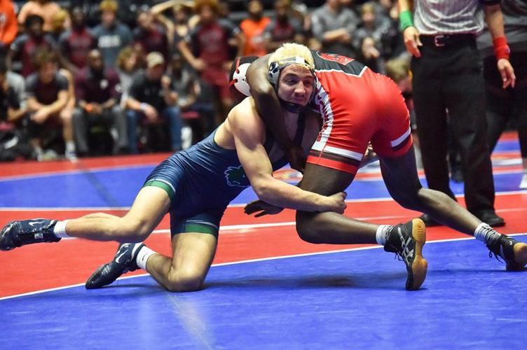 Wrestler of the Year: Higgins caps historic career with elusive state ...