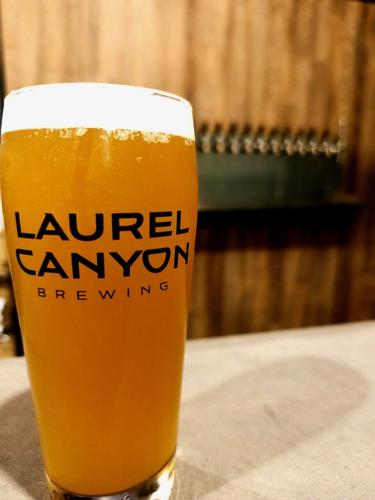 New brewery coming to Canton | Business | tribuneledgernews.com