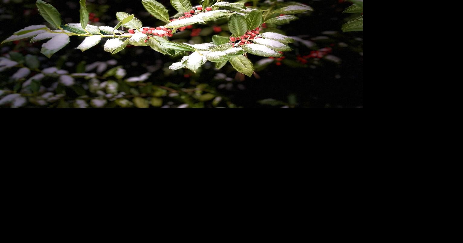Snow Day Photos from Cherokee County Residents | Multimedia ...