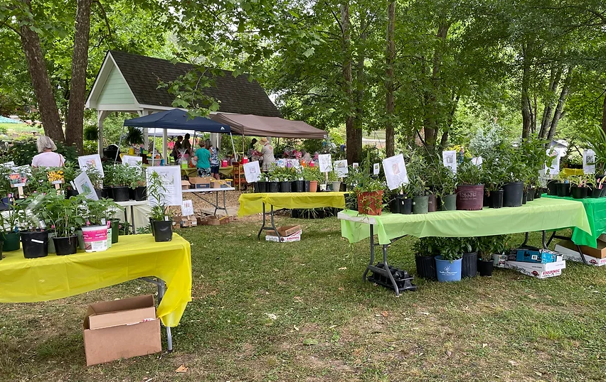 Ball Ground Garden Club Hosting Plant Sale and Festival | Events ...