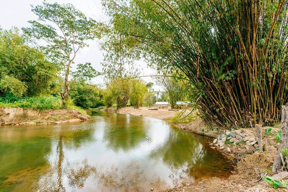Matura man, 19, jailed for stealing from Trini River Lime | News Extra ...
