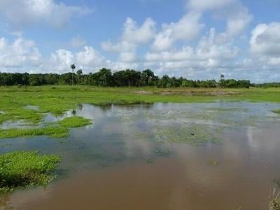 The race to save planet Earth | Features Local | trinidadexpress.com